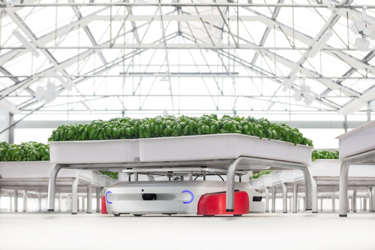 Robôs agrícolas economizam até 90% do uso de água nas plantações ...