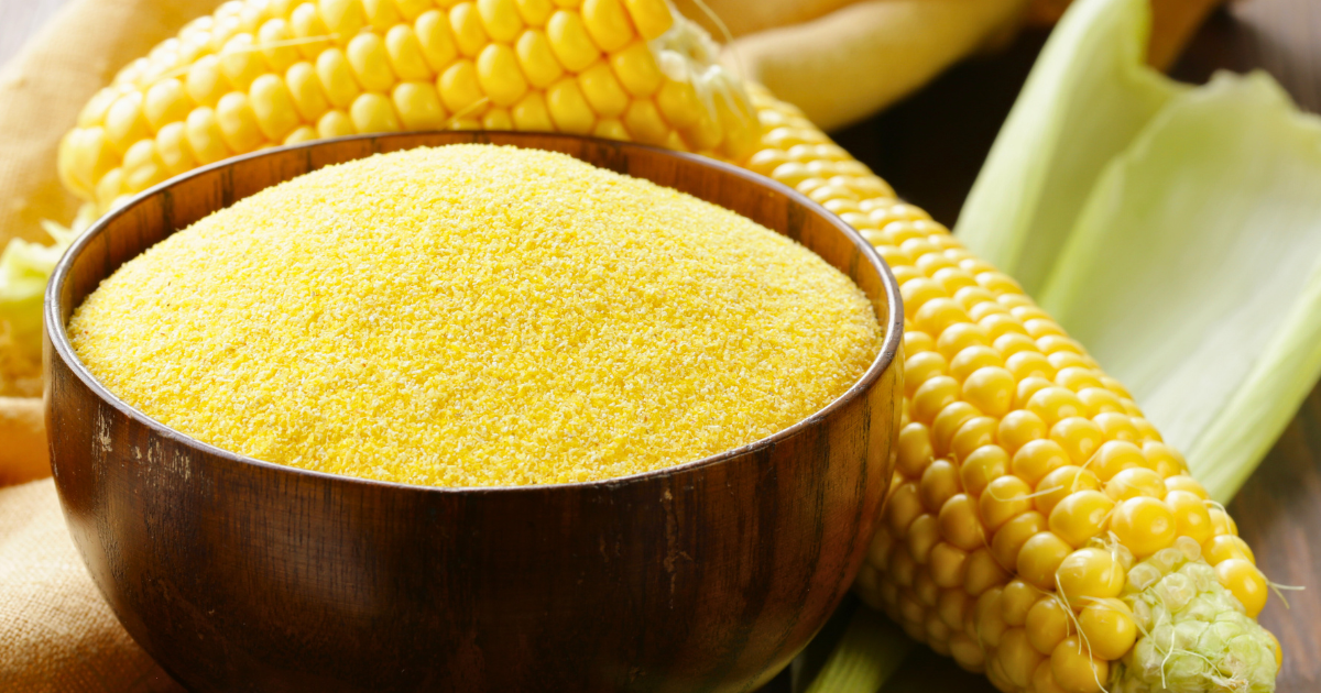 Cientistas desenvolvem bioplástico de fubá com capacidade de autocura ...